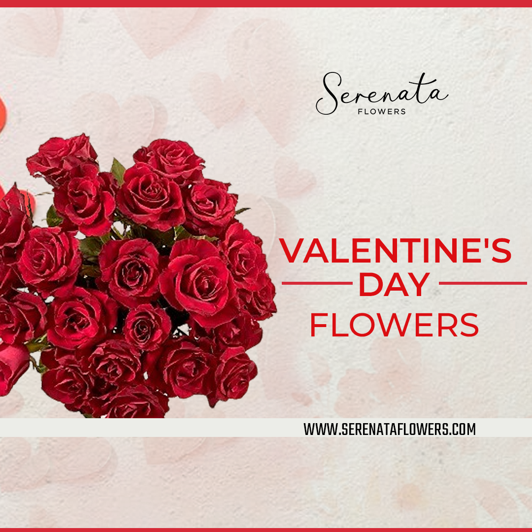 Surprise Your Love with Stunning Valentine’s Day Flowers - Serenata Flowers - Medium