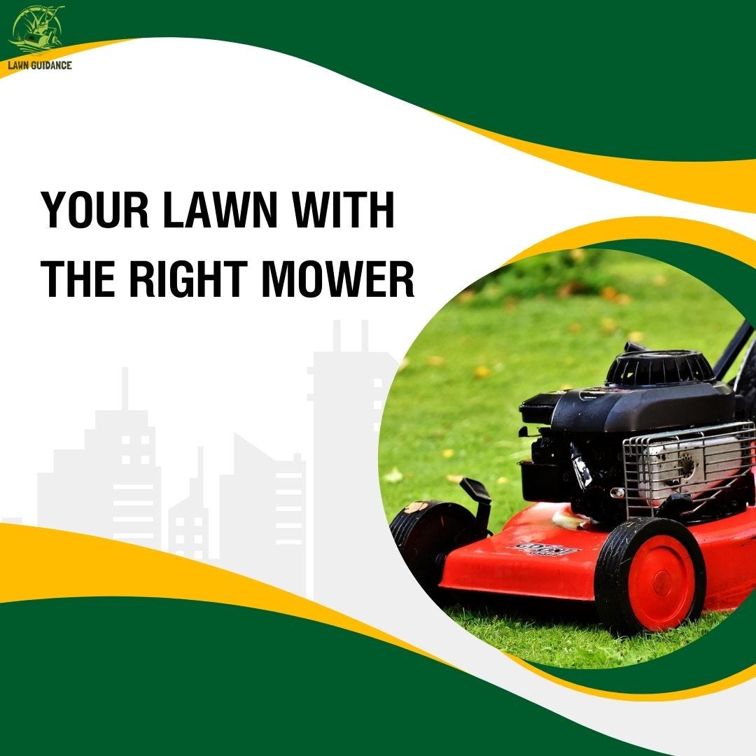 Mastering Your Lawn with the Right Mower - James M. Chew - Medium