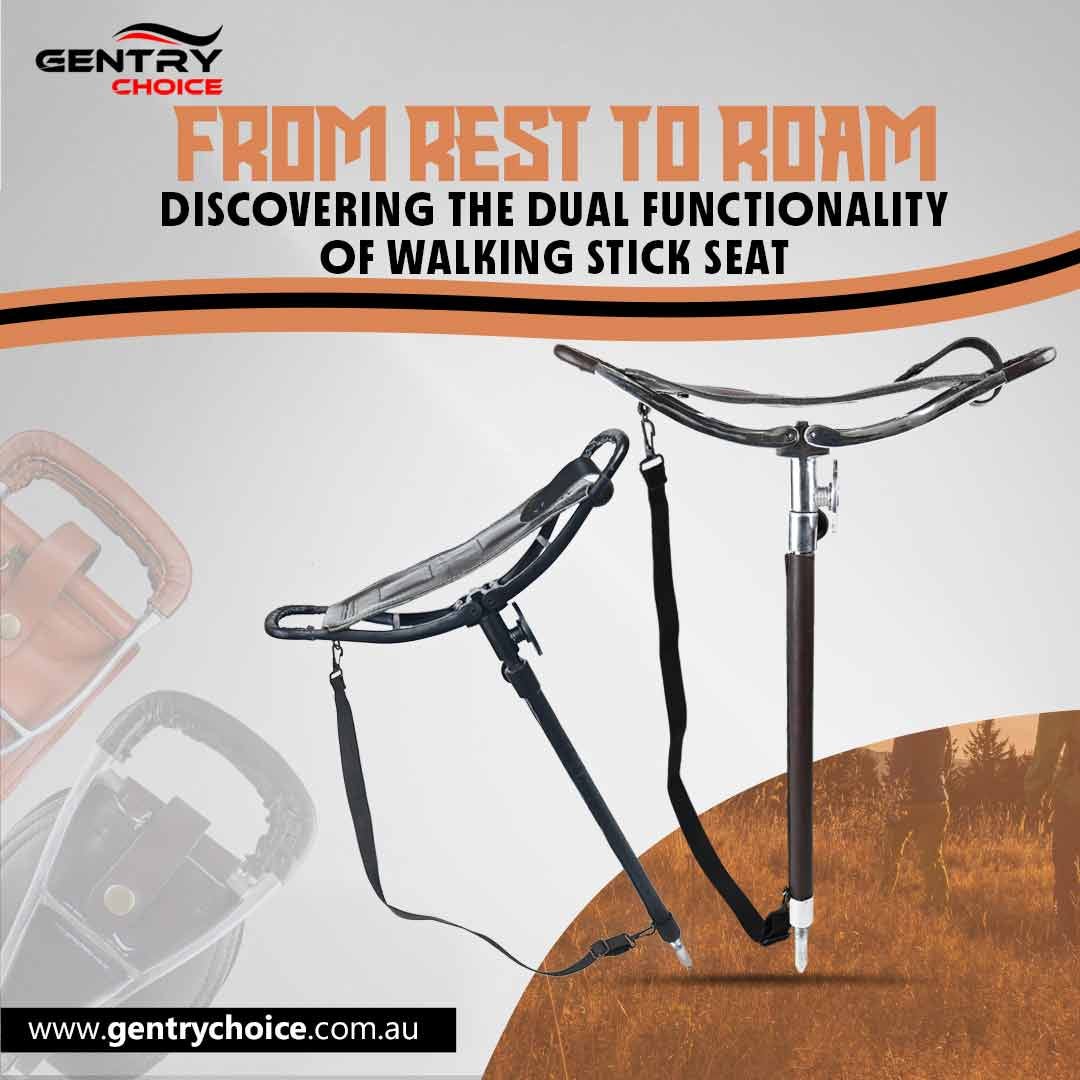 Discovering the Dual Functionality of Walking Stick Seat | by ...