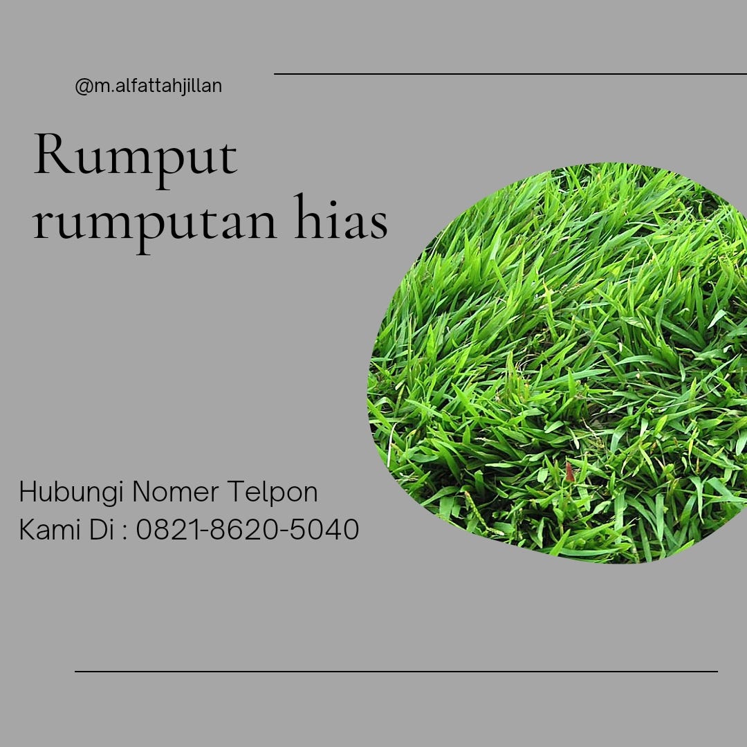 rumput rumputan hias. Tukang rumput rumputan hias Smart… | by ...