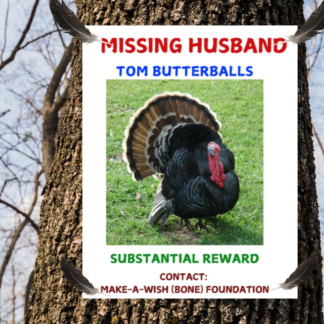 Help! I’ve Lost My Husband, Tom Turkey! | by Lizzie Lizard Brain ...