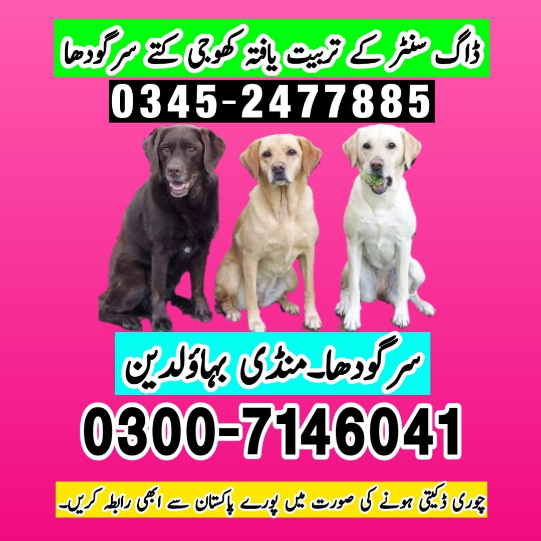 Army Dog Center Mandi Bahauddin 03452477885 - Army Dog Center Pakistan ...