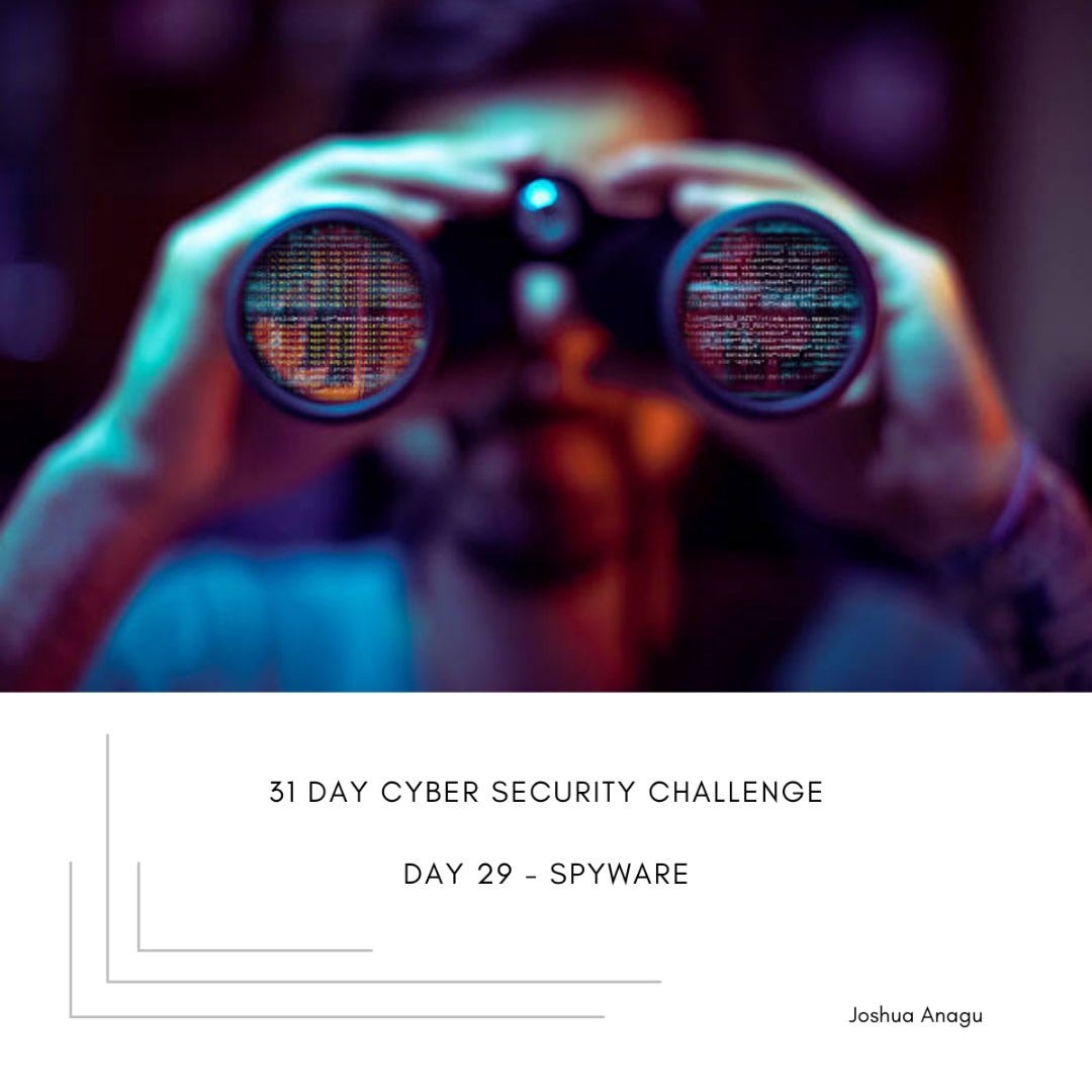 Day 29 of 31 Day Cyber Security Challenge | by Joshua Anagu | Jun, 2024 ...