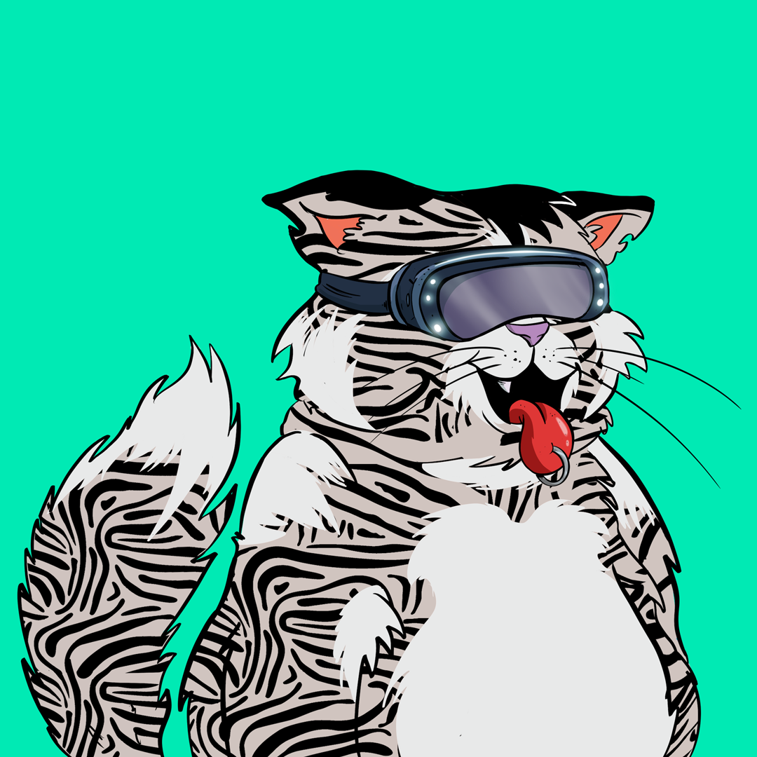 Introducing Fat Catz. Fat Catz is a collection of 9.999… | by Fat Catz ...