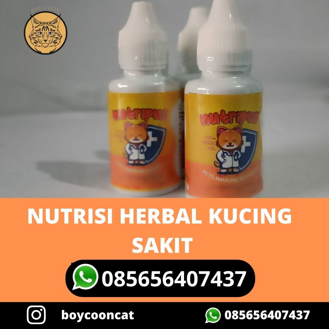 NUTRISI HERBAL KUCING SAKIT. NUTRISI HERBAL KUCING SAKIT | by ...