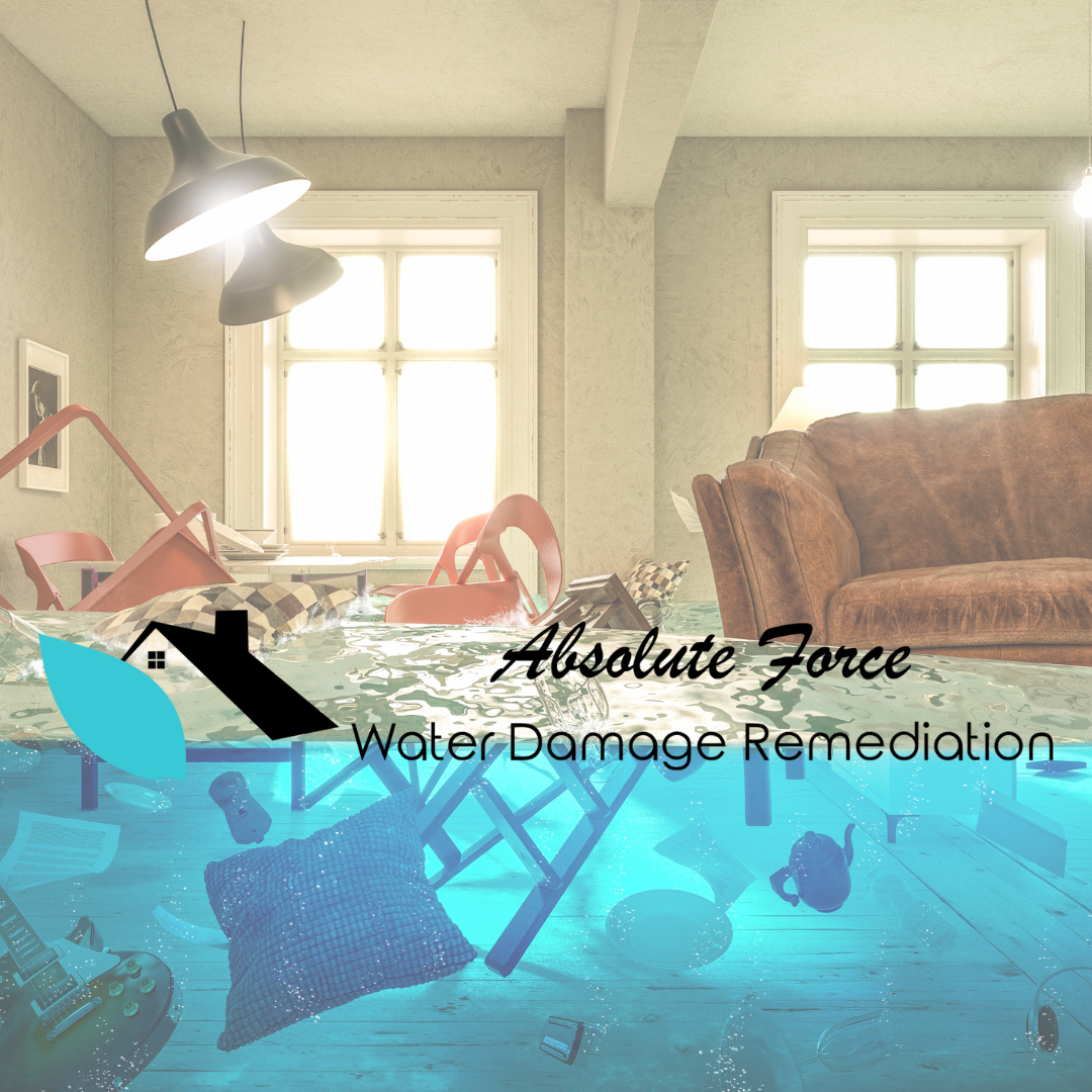 Flood Restoration - Absolute Force Water Damage Remediation - Medium