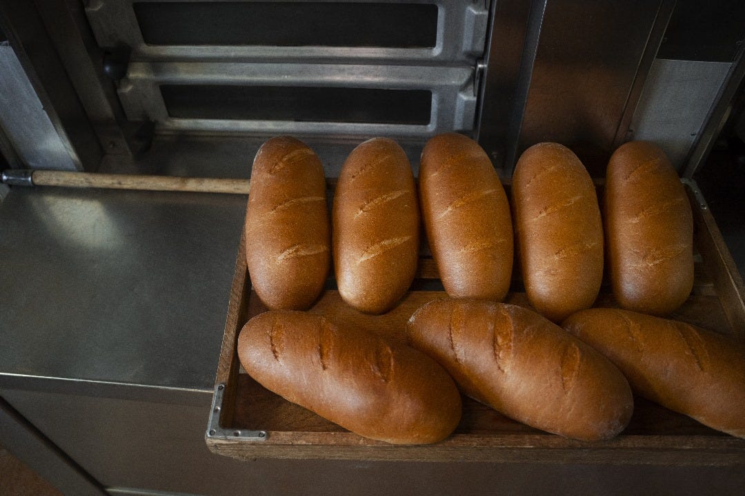 Rice, spag, noodles —just give us bread😹! | by Leesaah | Jan, 2025 | Medium