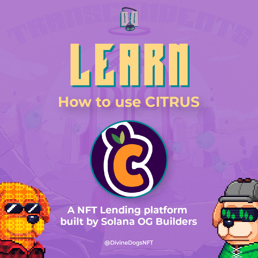 Muttley’s Week 57: Citrus — A NFT Lending platform built by Solana OG Builders | by Divine Dogs ...