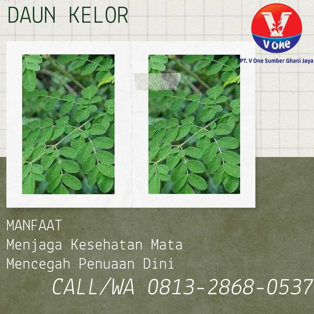 Pusat Budidaya Herbal Daun Kelor Alami Tambak Bayumas - pusat ...