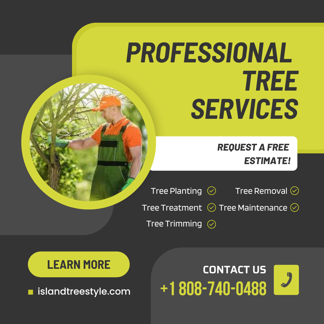 Maui Residential Tree Service by Island Tree Style - Island Tree Style ...