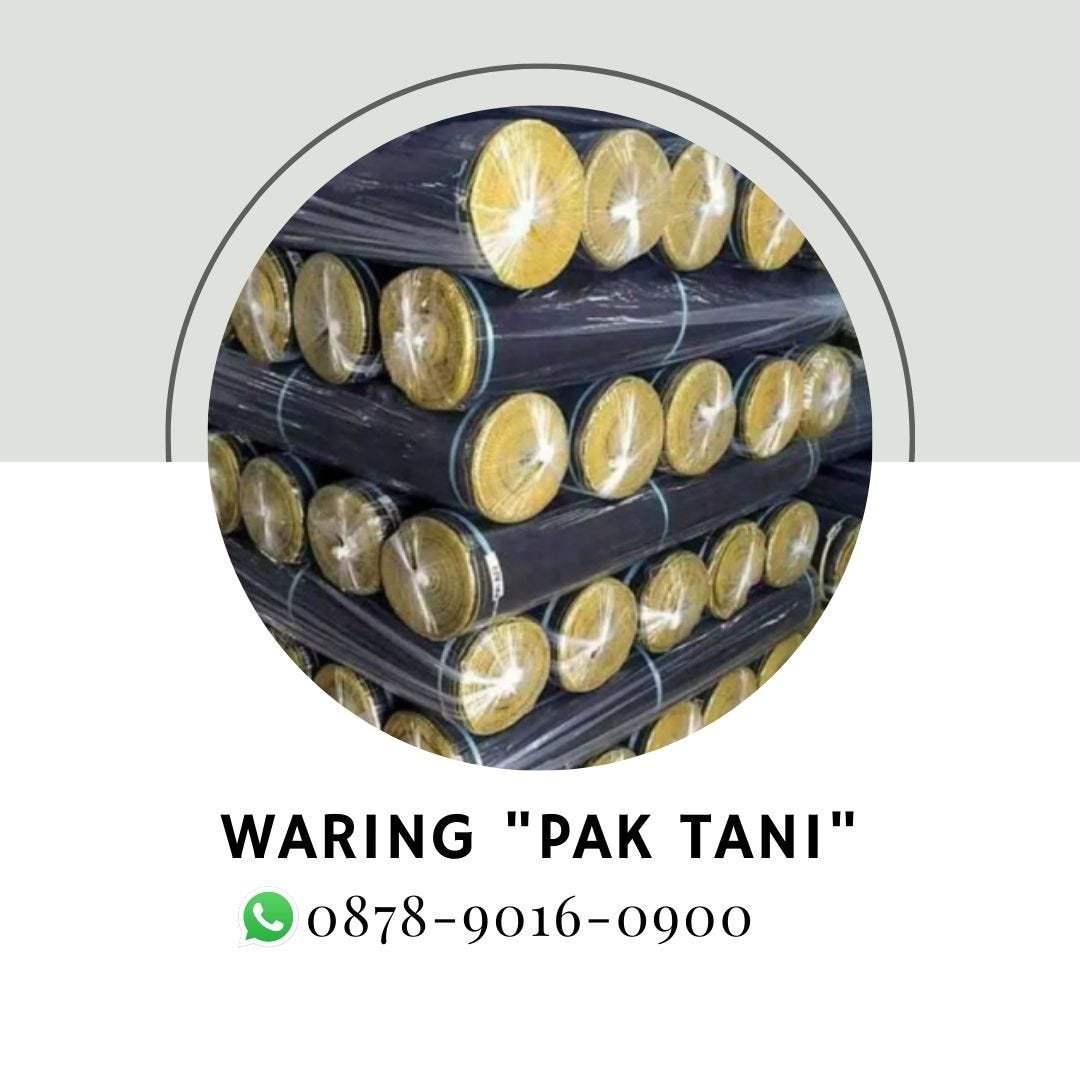 Waring Pak Tani - Waringjaring - Medium