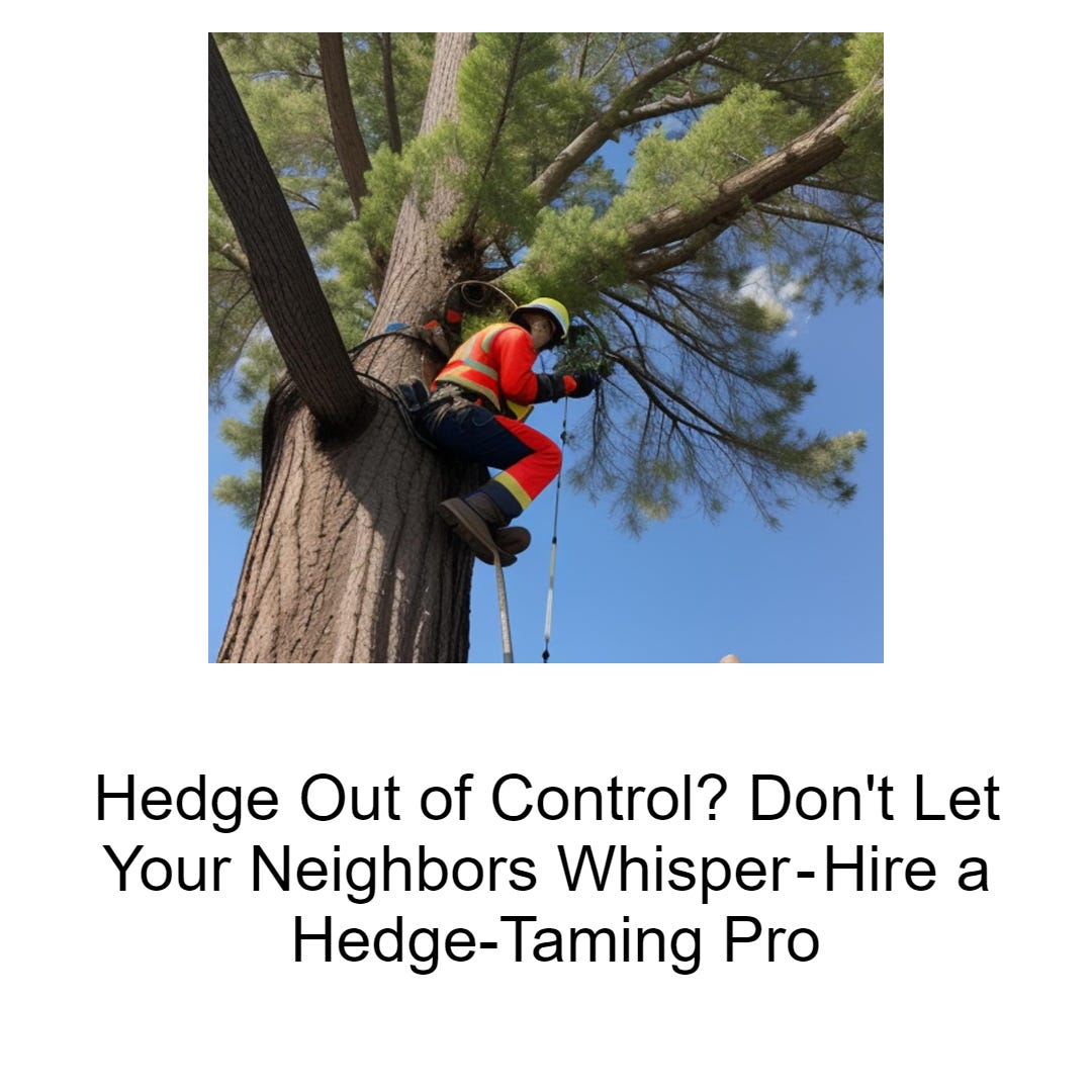 Hedge Out of Control? Don’t Let Your Neighbors Whisper — Hire a Hedge-Taming Pro | by ...