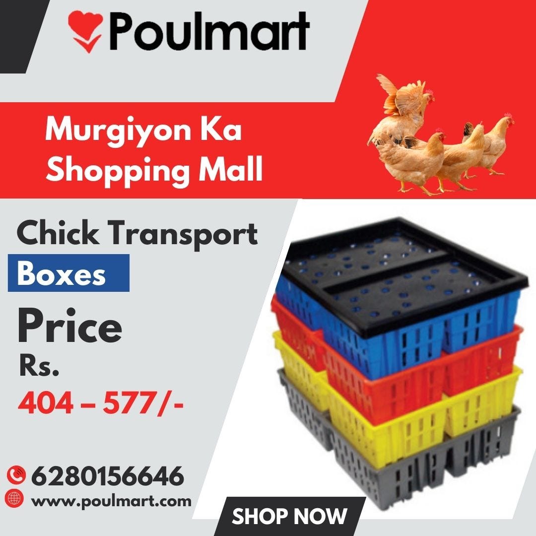 Chick Transport Boxes - Poulmart India - Medium