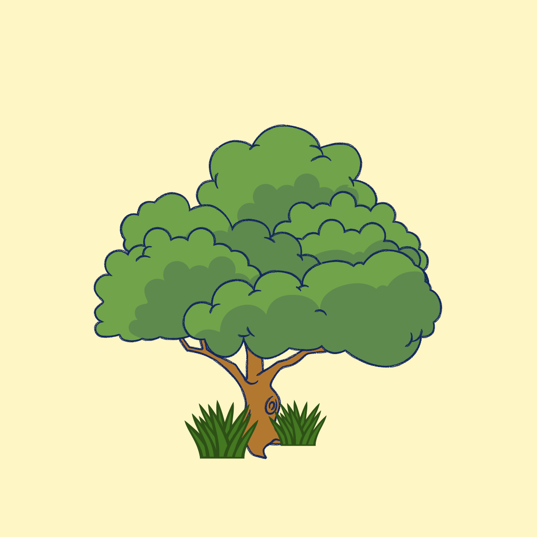 What emotions can a tree outside my window evoke? | by Palak Ahuja | Medium