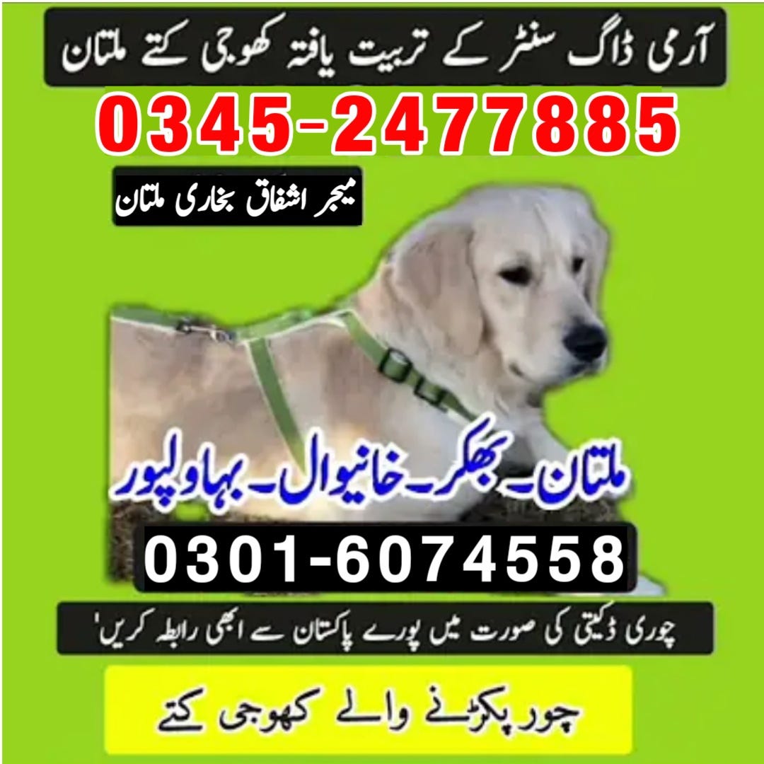 Army Dog Center Bahawalpur 03016074558 - Army Dog Center Pakistan - Medium