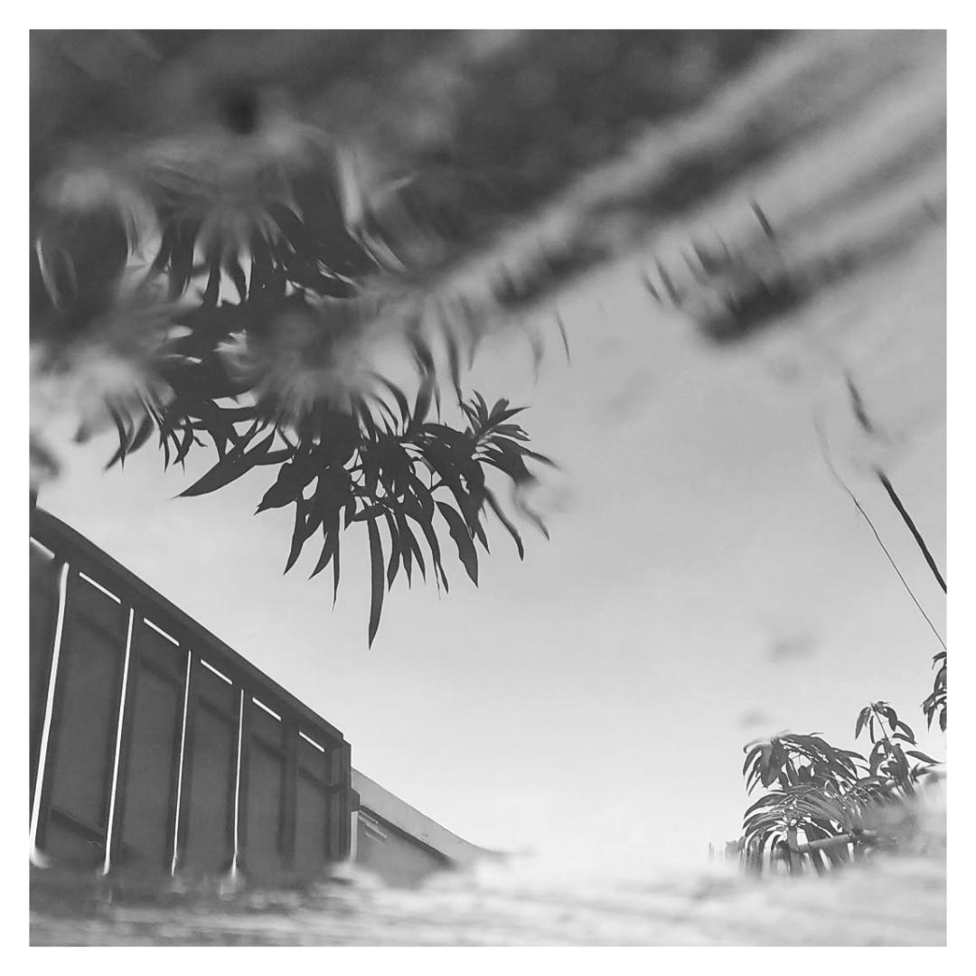 The sky grew darker and started to send a flood every little drop is ...