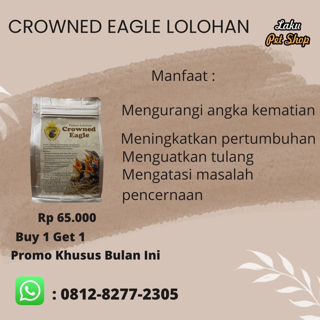 Harga Voer Murai Batu Crowned Eagle | by Distributor Voer Burung Bogor ...