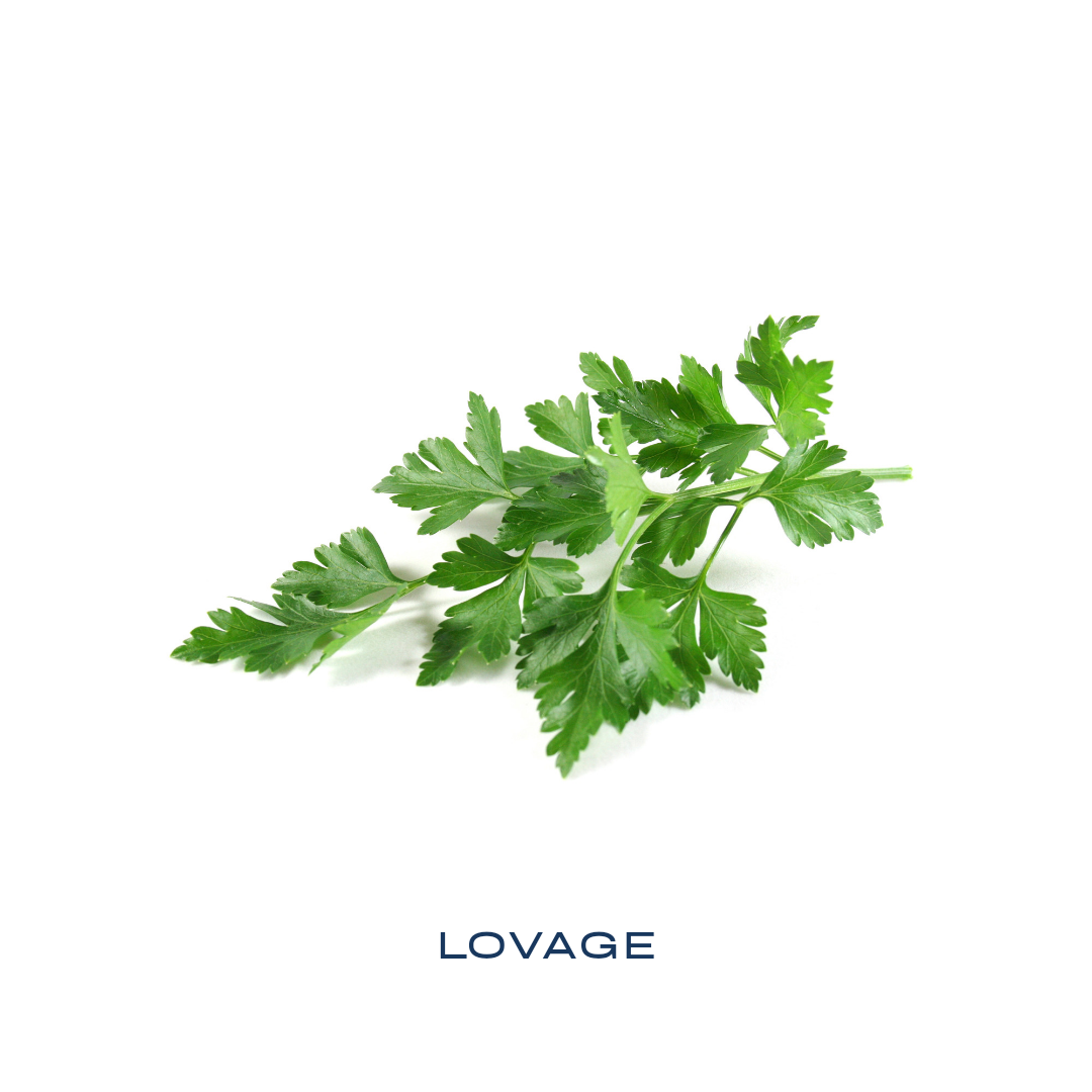 COOKING WITH LOVAGE. The Aromatic Empress Herb | by Vibrant V-tips ...