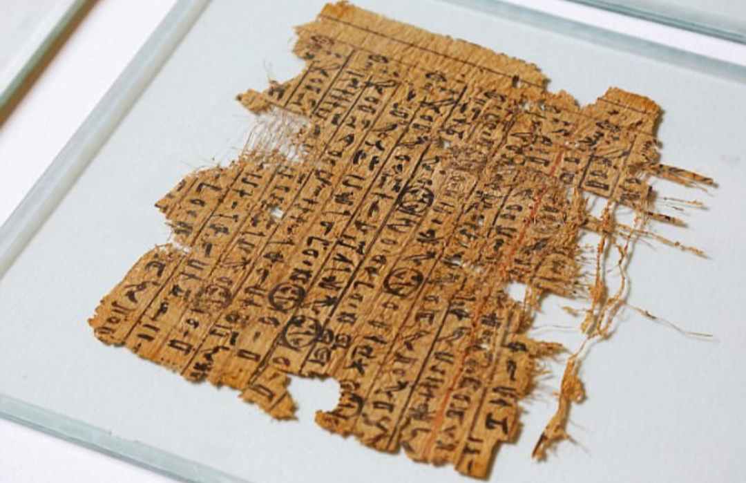 The papyrus in ancient Egypt. The papyrus, sacred plant and writing ...