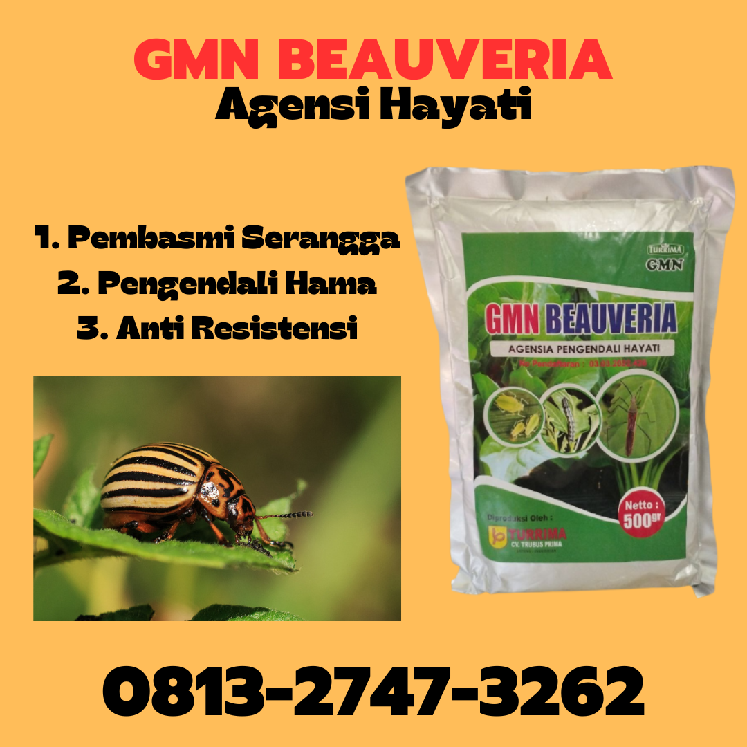 HUB! 0812–2882–4834 Distributor Obat Hama Kutu Putih Sarilamak ...