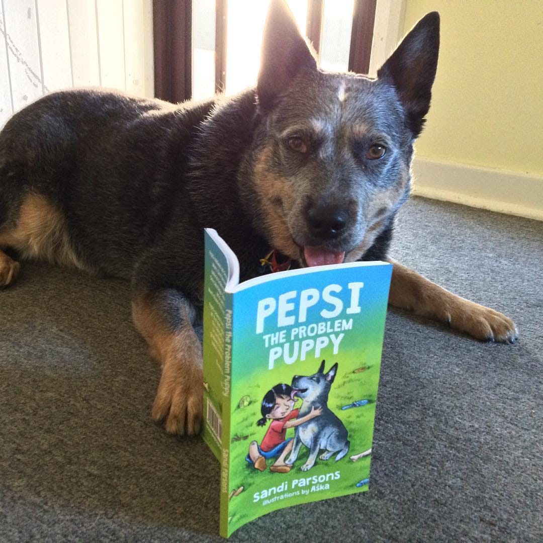 I’ve Been Falsely Accused. Pepsi the Perfect Puppy sets the record ...