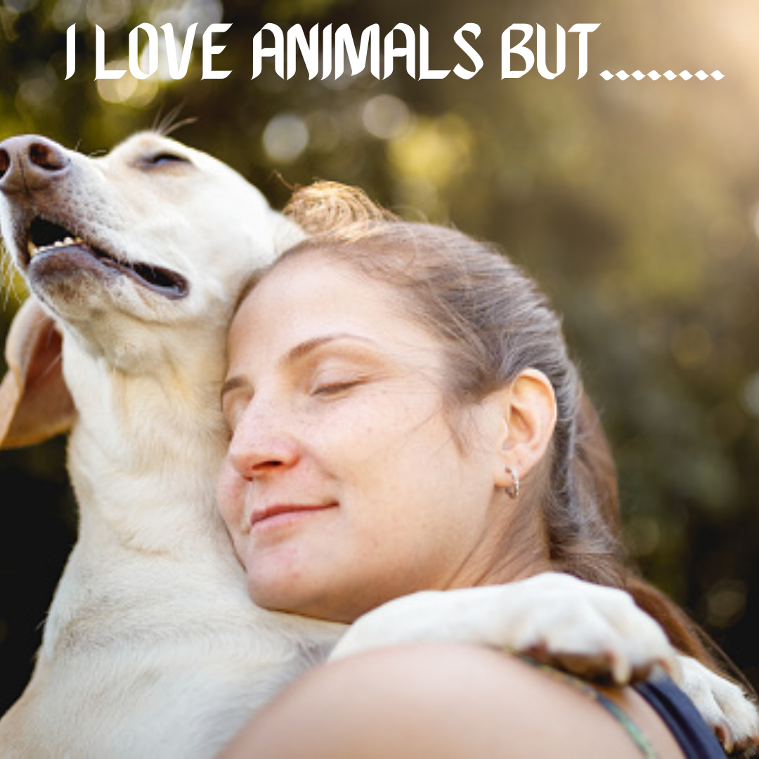 I Love Animals, but …. Warning: This blog post is written by a… | by ...