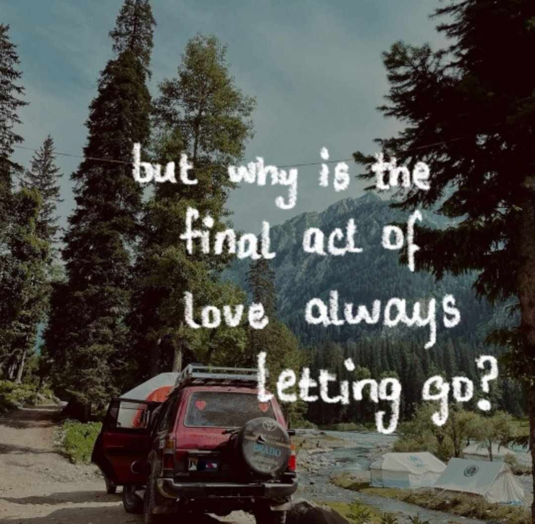 but why is the final act of love always letting go? | by pupchimin | Medium