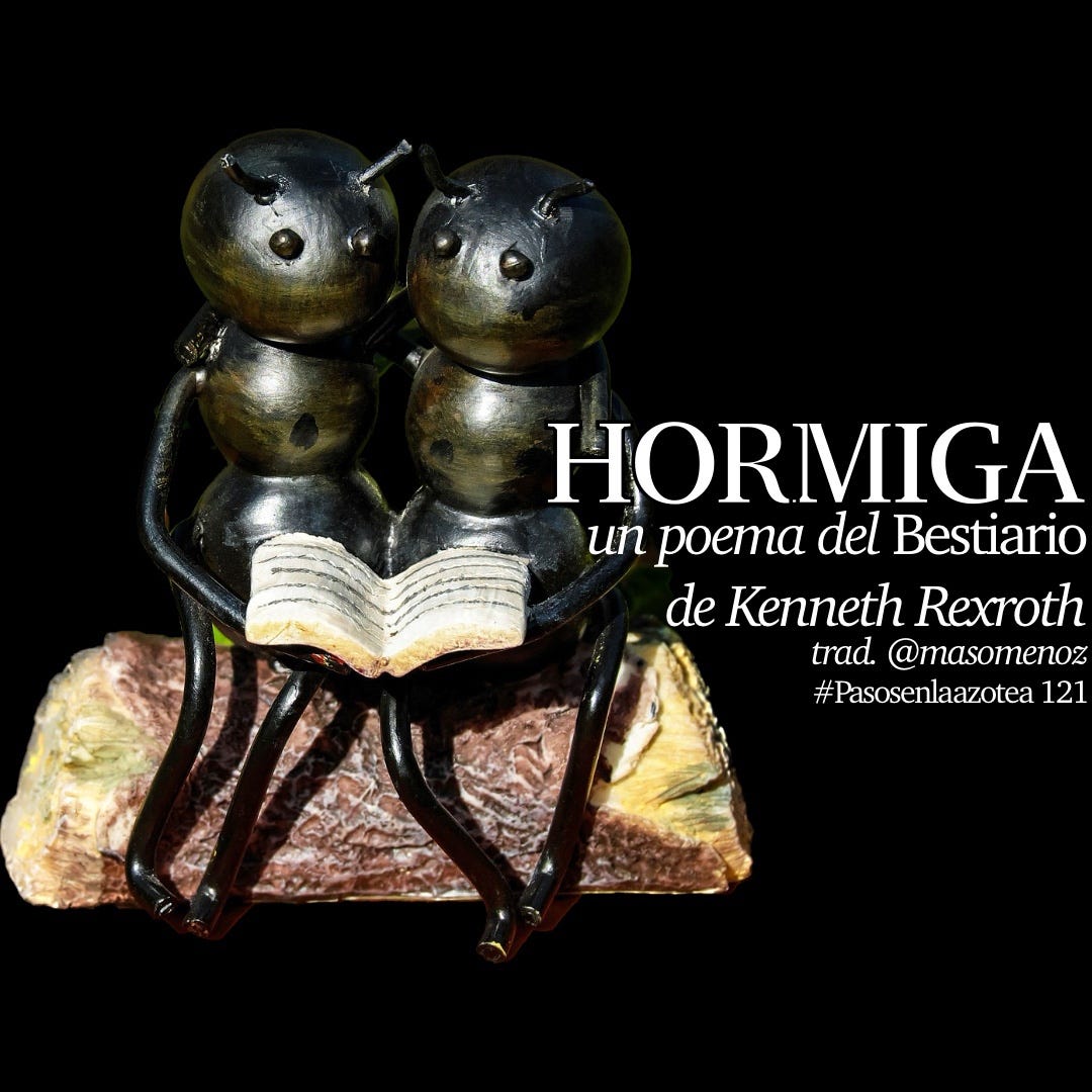 Hormiga, un poema del Bestiario de Kenneth Rexroth, trad. Javier ...