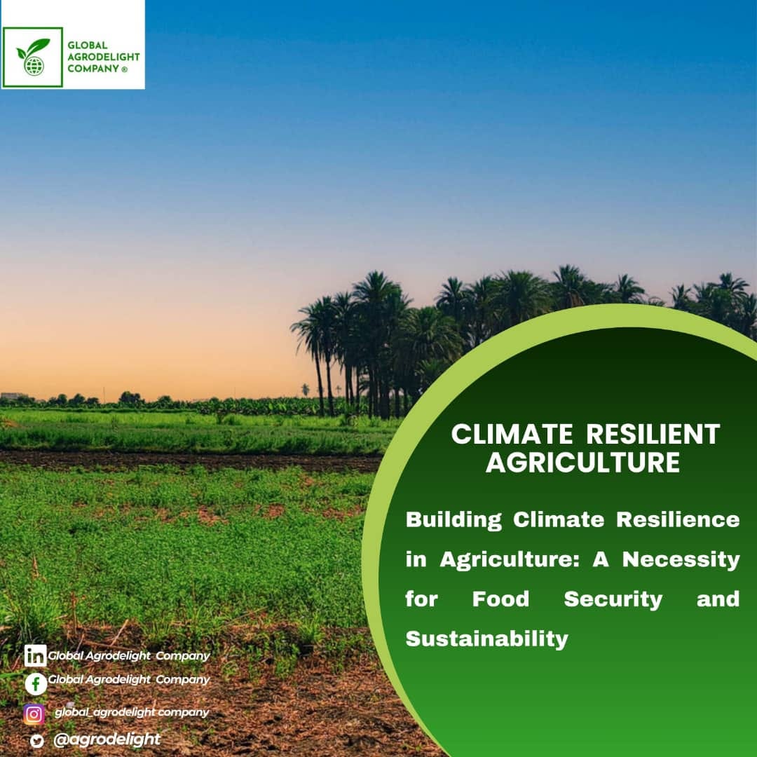 Building Climate Resilience in Agriculture: A Necessity for Food ...