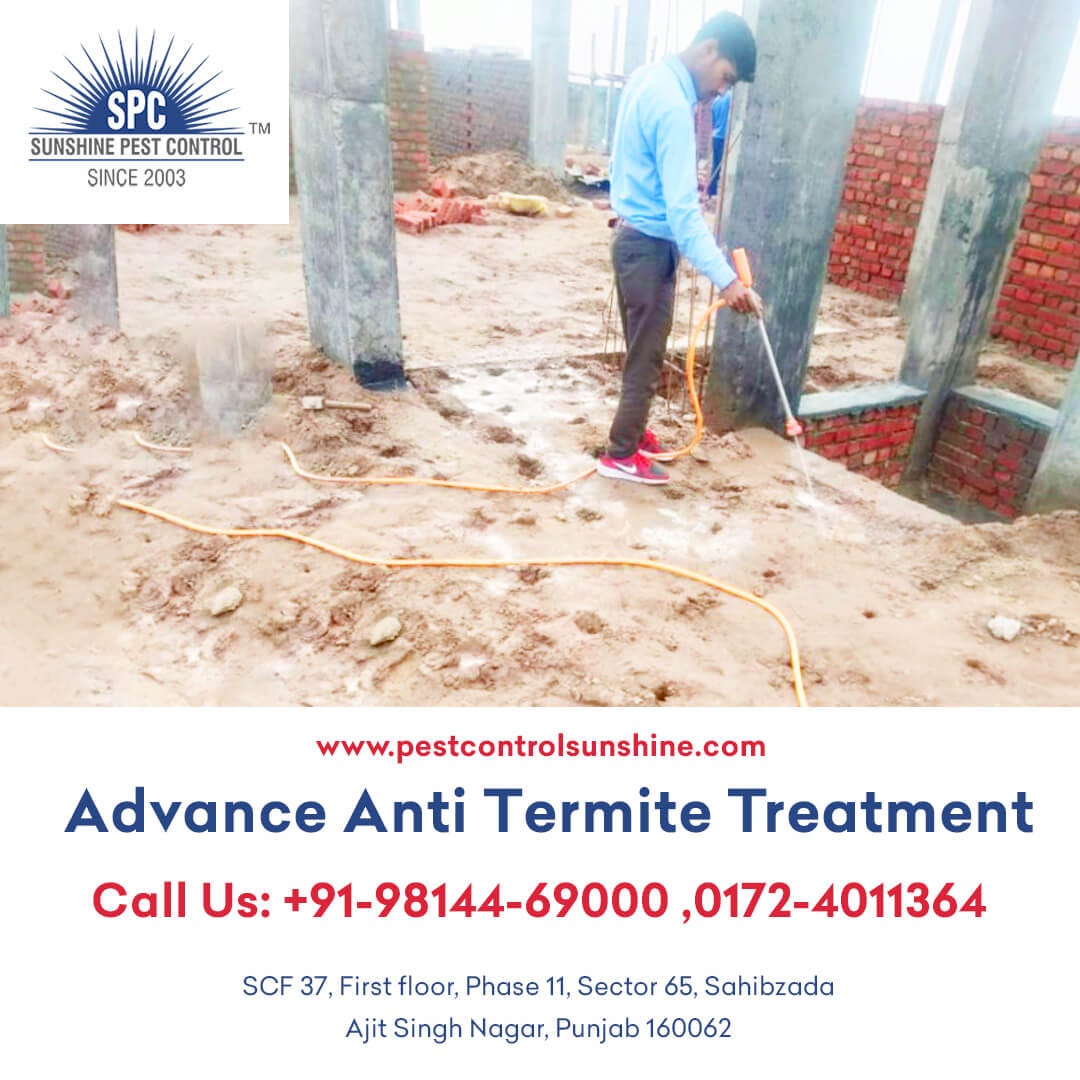 Termite Prevention from the Beginning - Sunshine Pest Control(Mr. Arshi ...