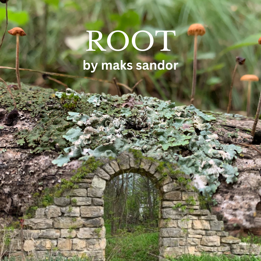 Root. Once, in a cozy pub built of dark… | by Maks Sandor | Medium