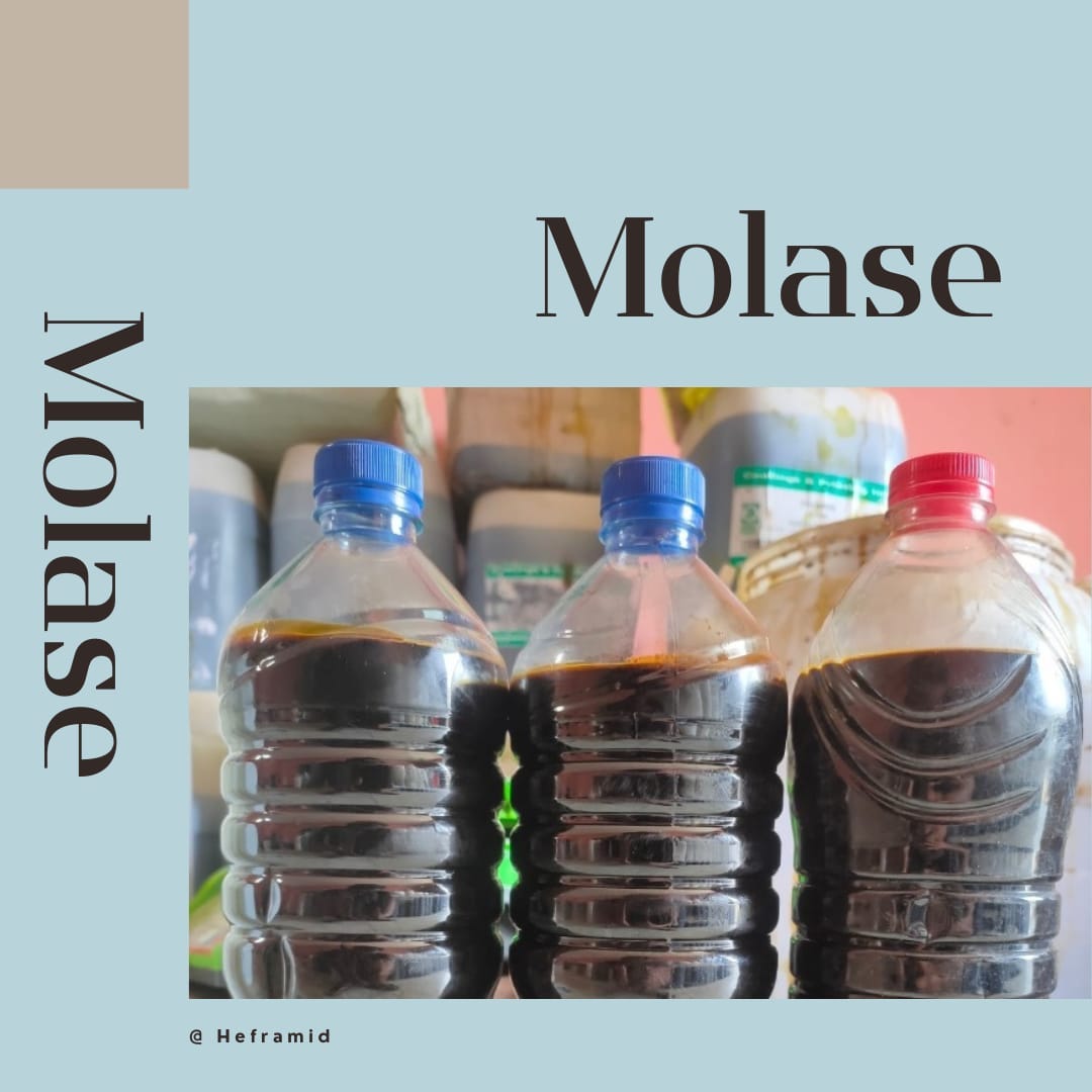 Inovasi dalam Produksi Molase Tebu Ekstra: Mendekati Keberlanjutan dan ...