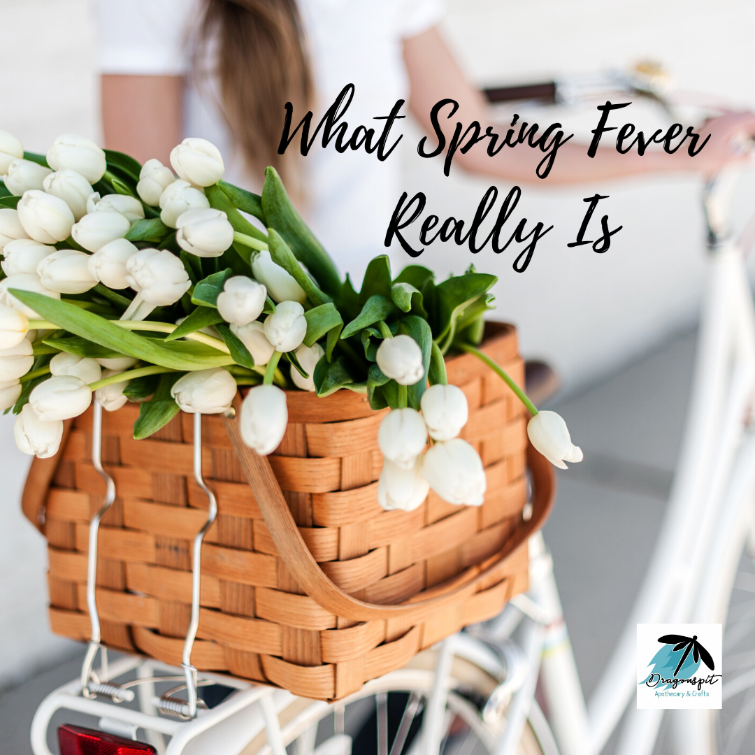 dragonsWhat Spring Fever Really Is | by Amy Kramer | Medium