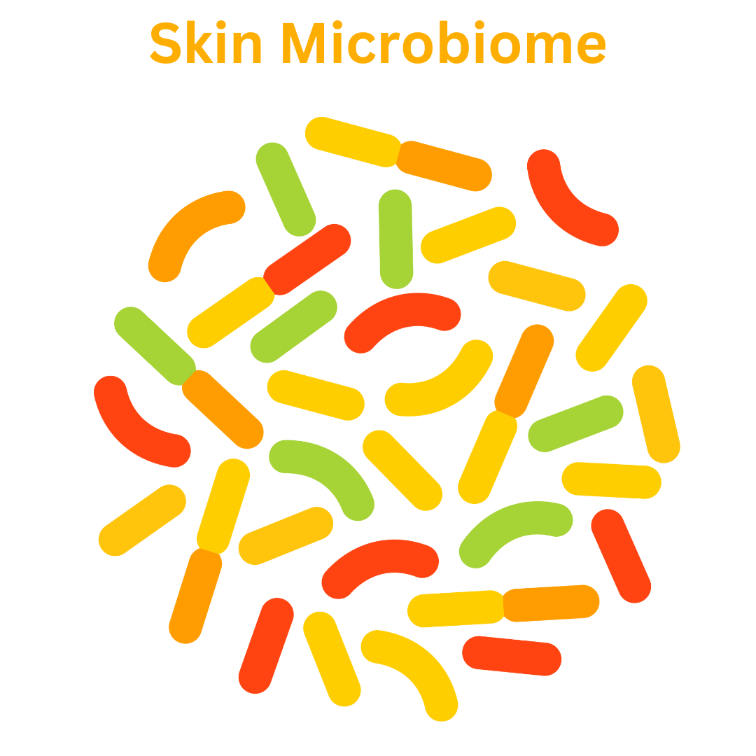 Microbiome-Friendly Skincare: Why Your Skin’s Bacteria Matter More Than ...