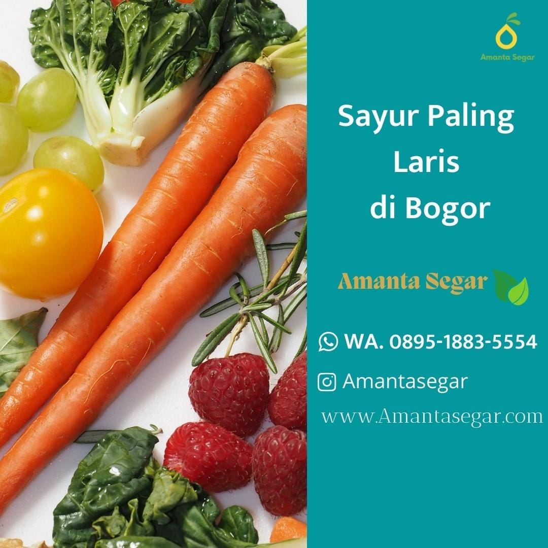 AMANTA SEGAR I WA.089518835554 | Toko Sayur dan Buah Online Terbaik ...