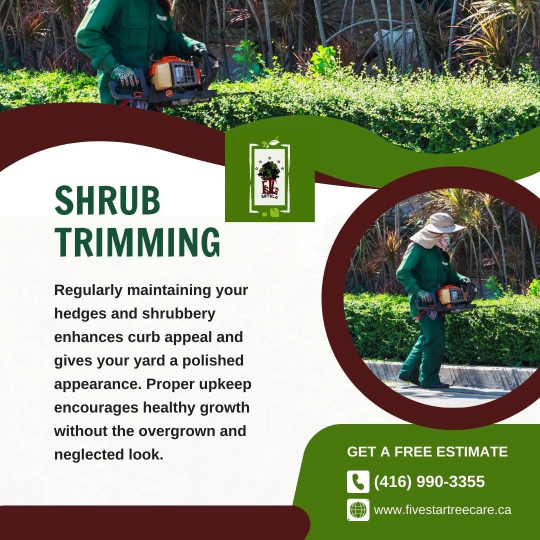Trim and Prune Your Hedges to Perfection With Five Star | by Five Star Tree Services | Medium