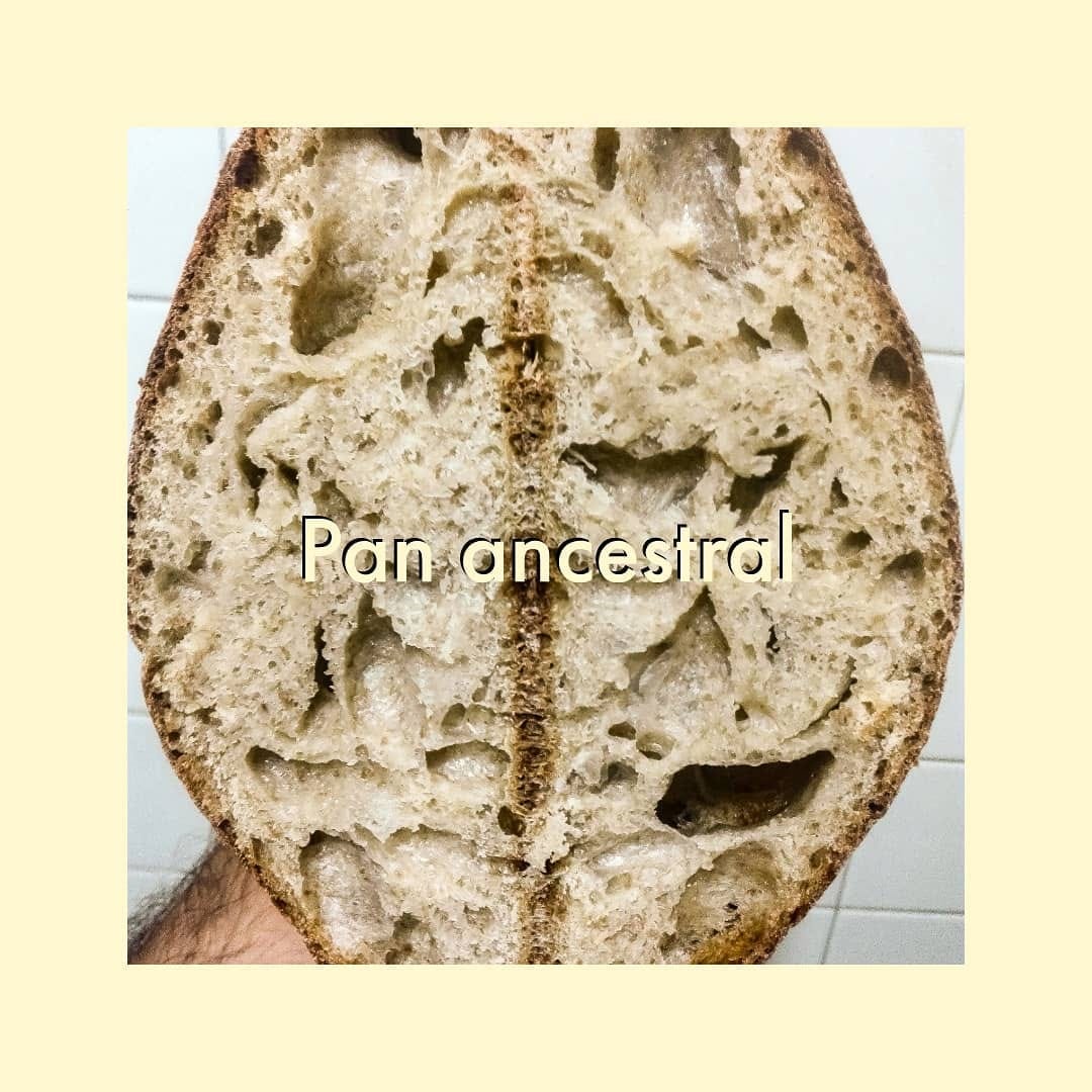 Pan Ancestral. El pan es más viejo que la moda de… | by La Jaula ...