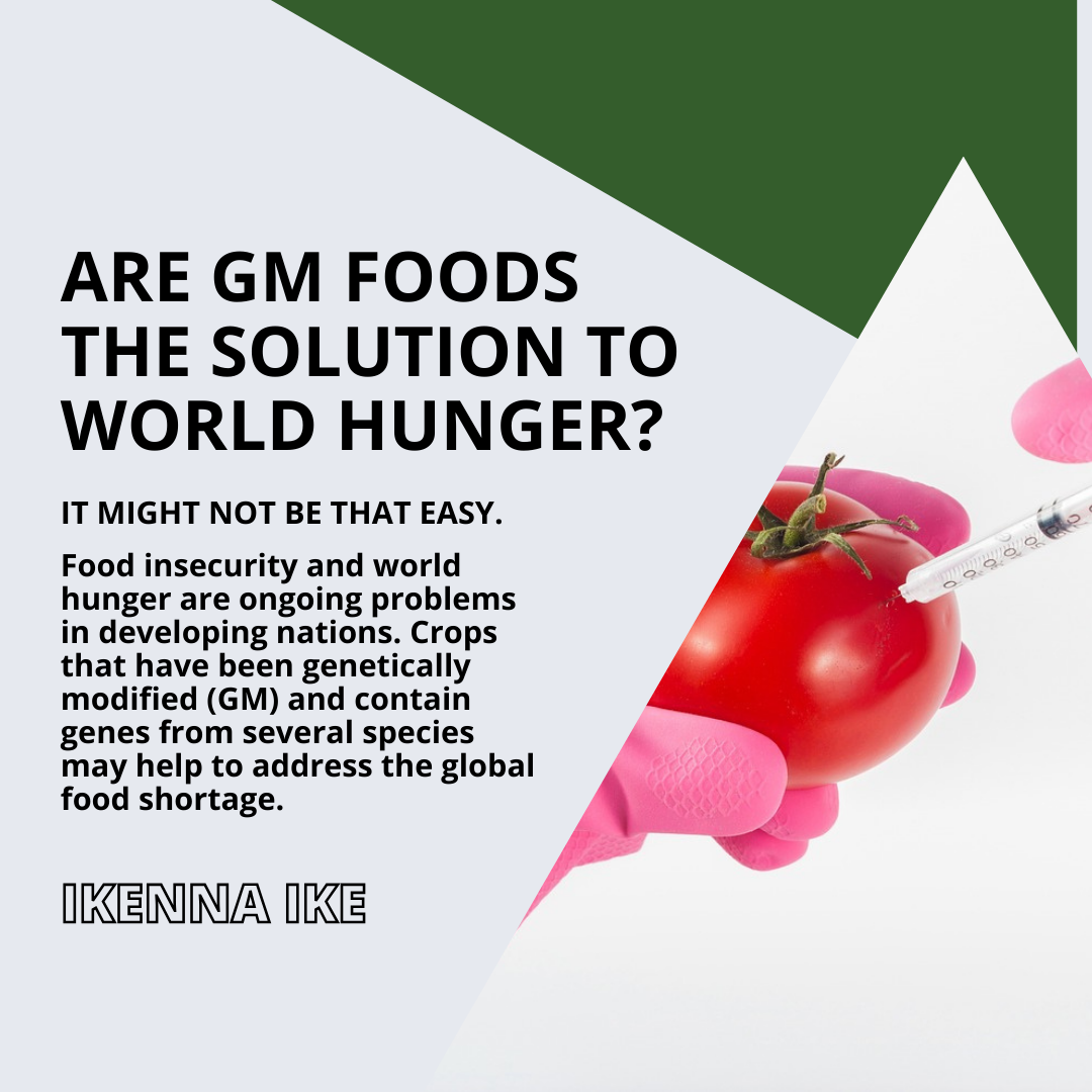 Ikenna Ike- Are GM foods the solution to world hunger? | by Ikenna Ike | Oct, 2023 | Medium