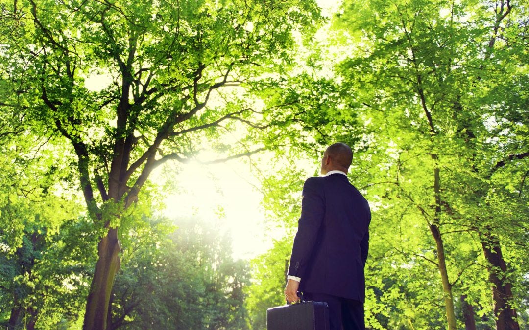 The Benefits of Outdoor Activities and Nature on Health and Well Being ...