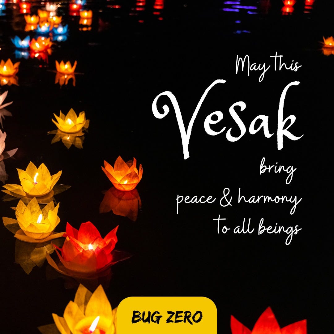 Bug Zero at a Glance [Week 29 April–05 May] | by Januka Dharmapriya ...