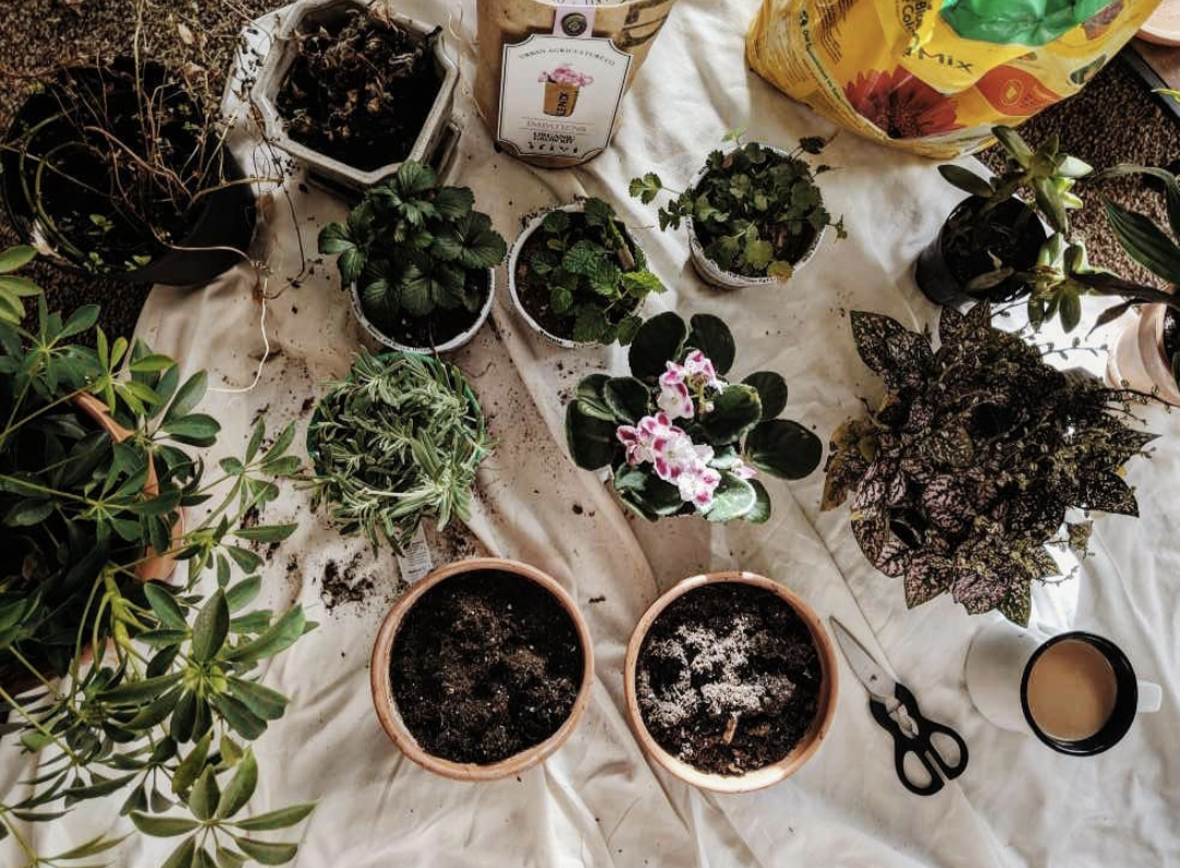 5 Tips for Creativity Spring Cleaning | by Hayley Finch | Medium