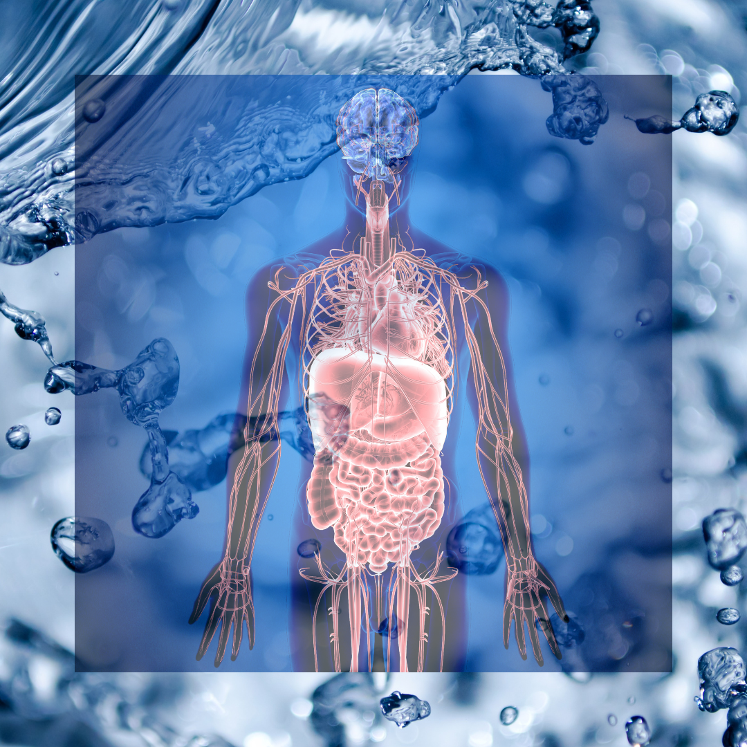 Hydration Matters. Healthy Choices included H2o | by William Frick | Medium