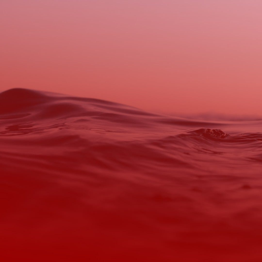 Ocean of Blood. You cut me deep. | by Destiny's Perspective | Oct, 2023 ...