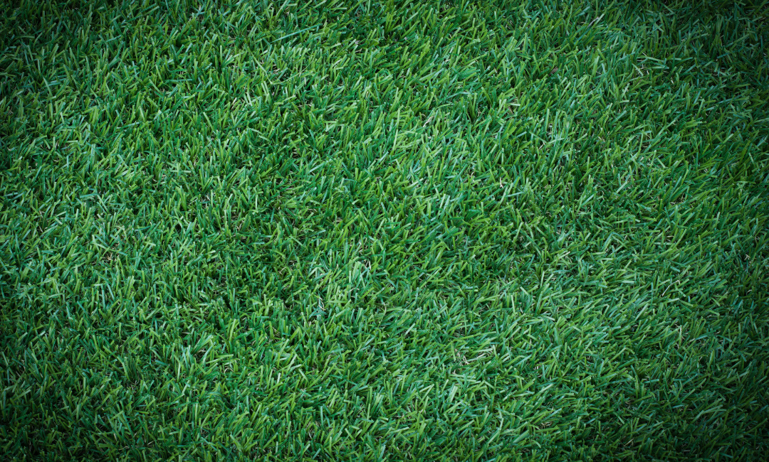 8 Most Common Questions People Ask About Artificial Grass - Artificial ...
