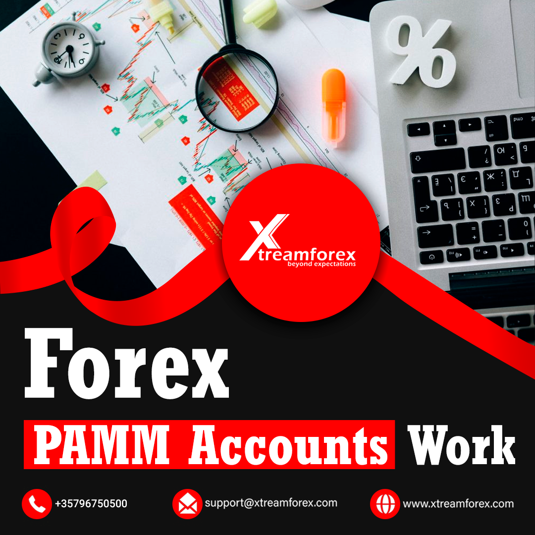 Forex PAMM Accounts Work - AnjaliRana - Medium