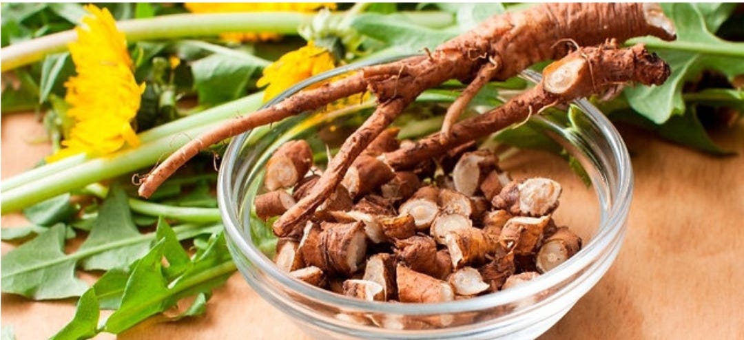 🌿 The Healing Power of Dandelion Root: A Hidden Gem in Herbal Medicine ...