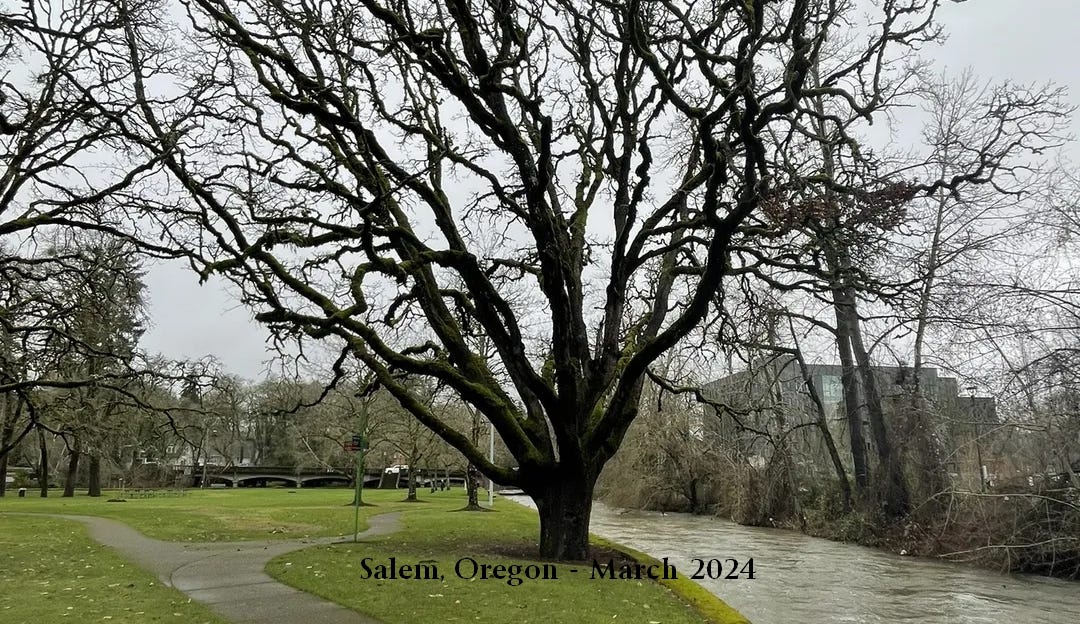 A Salem, Oregon Walkabout. a neighbourhood and park journey | by A man ...