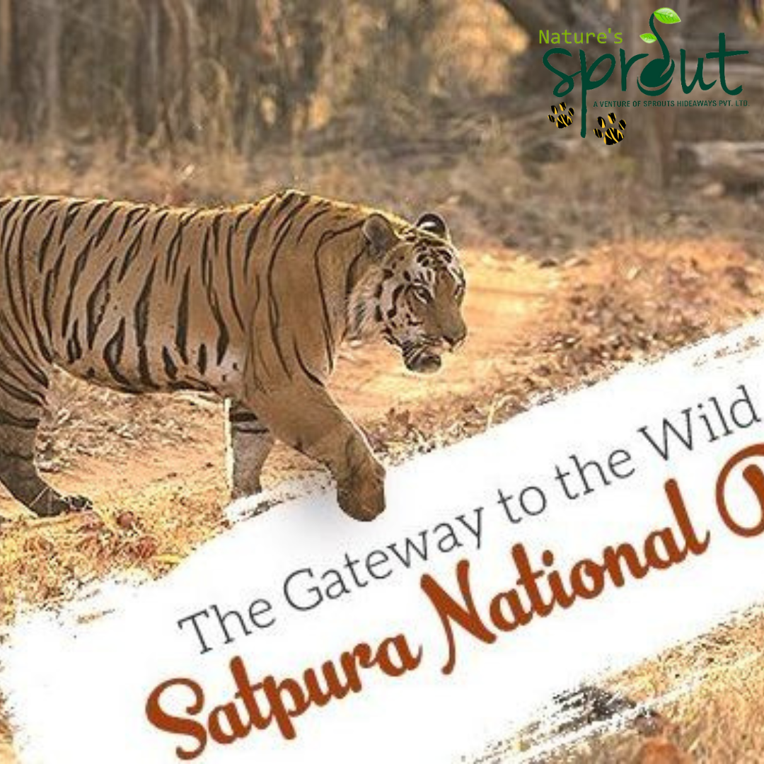 Satpura Tiger Reserve. Satpura Tiger Reserve is located in… | by ...