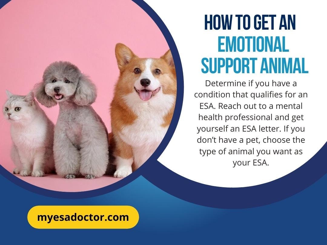 How to Get an Emotional Support Animal - Myesadoctor - Medium