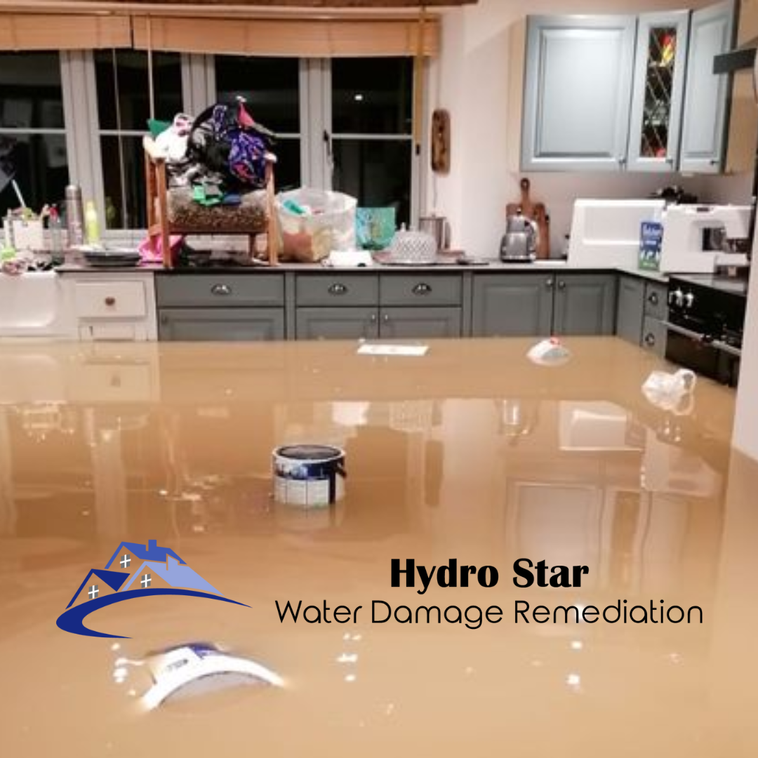 Flood Restoration: How to Restore Your Home After a Flood | by Hydro ...